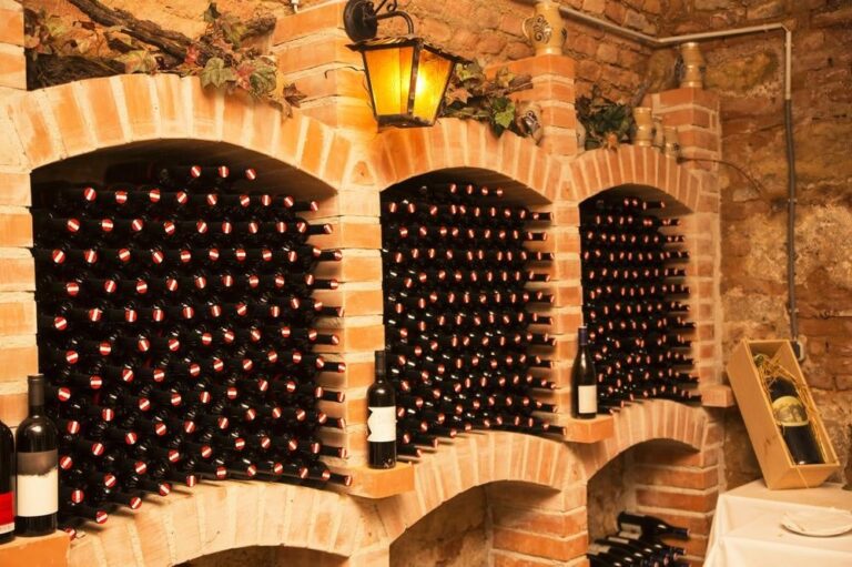 28 Innovative Wine Room Ideas for the Perfect Wine Cellars